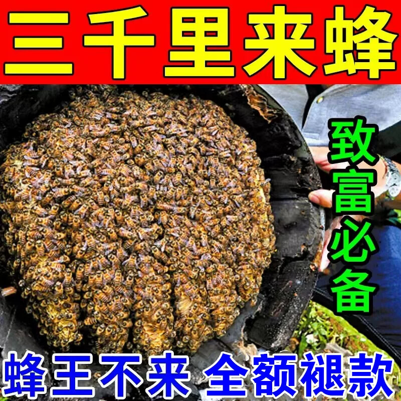 诱蜂膏神器蜂蜡诱蜂用野外用诱蜂水 中蜂养蜂招蜂水 蜜蜂引诱蜂王
