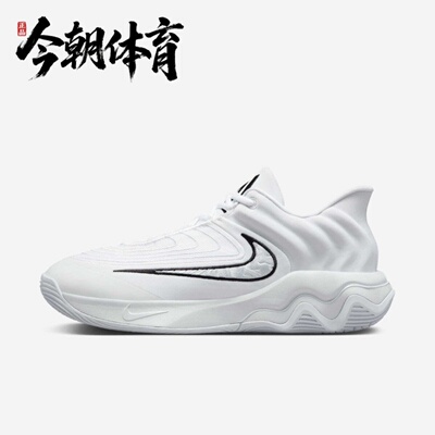 Nike/耐克 Giannis Immortality 4白色男子低帮篮球鞋FQ3681-100