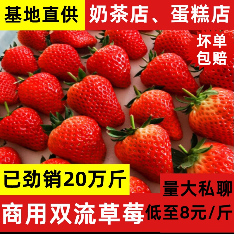 9斤云南现摘新鲜商用草莓当季水果顺丰包邮产地直发奶茶烘焙原