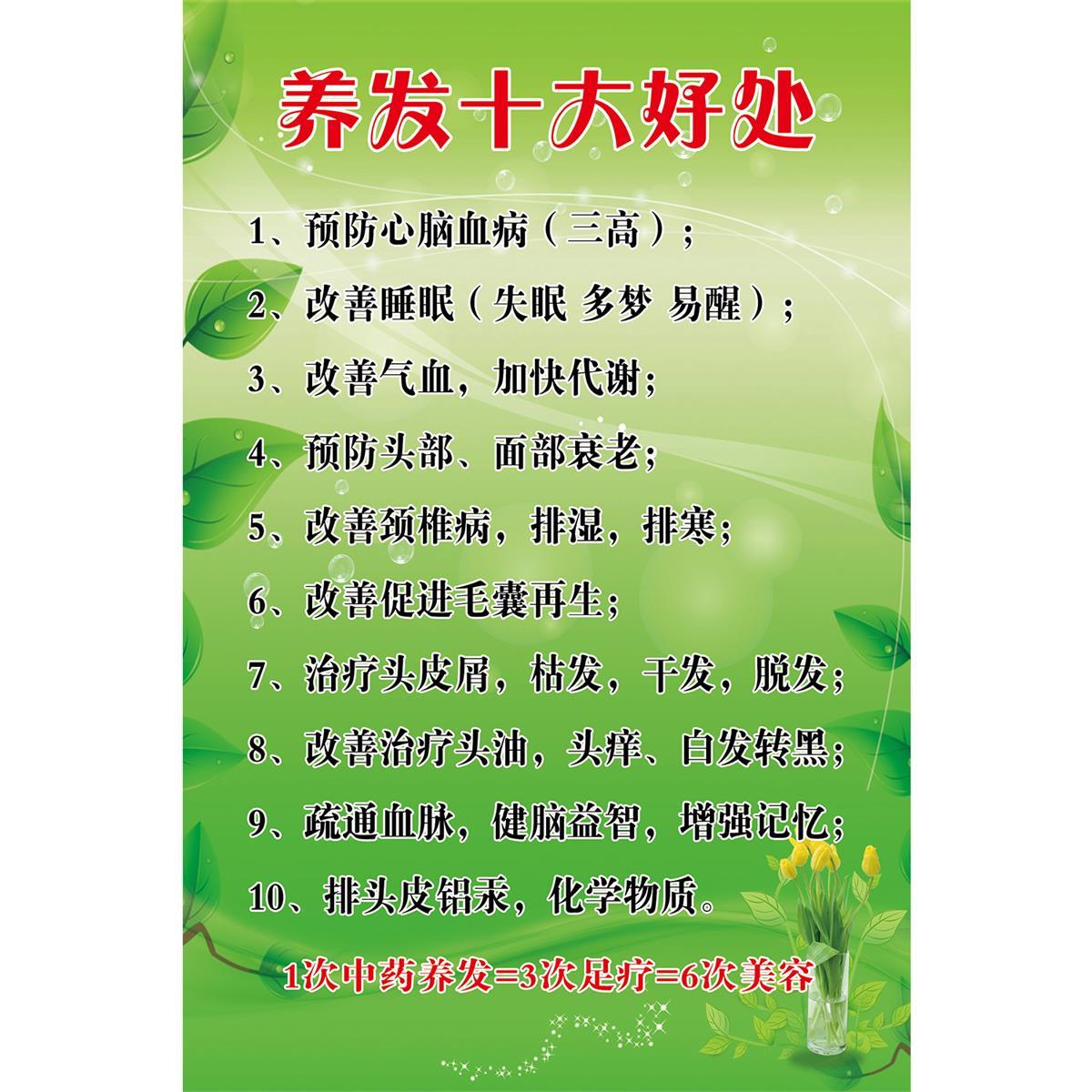 养发十大好处海报洗发头疗中医调理美容院养生馆装饰图墙贴广告画