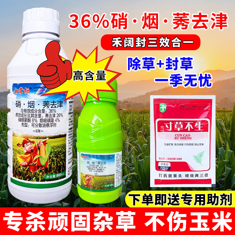 玉米除草剂玉米苗后专用除草剂玉米地专用除草剂三药复配不伤玉米