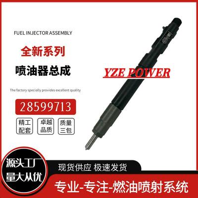28599713共轨柴油喷油器1100100XED95适用于德尔福 4D20M发动机