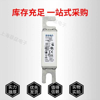 170M1308 1309 1310 1311 1312 1313 1317 1319 1322熔断器保险丝