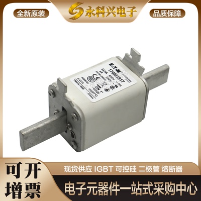 快速熔断器170M3924/3925/3926