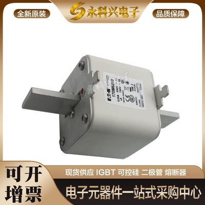 巴斯曼熔断器170M5699/5700/6688