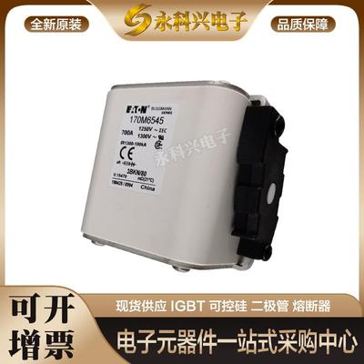 巴斯曼熔断器170M6540/6541/6542