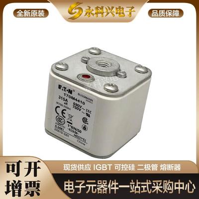 巴斯曼熔断器170M4489/4490/4491