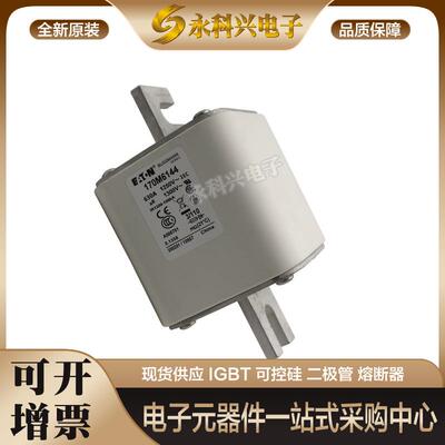巴斯曼熔断器170M6210/6211/6212