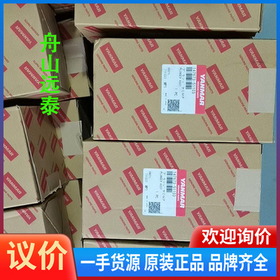 议价~N21洋马 147673-51103柱塞