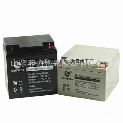 CONSENT蓄电池GS12V24AH光盛胶体电瓶12V24AH/20HR直流屏eps学校