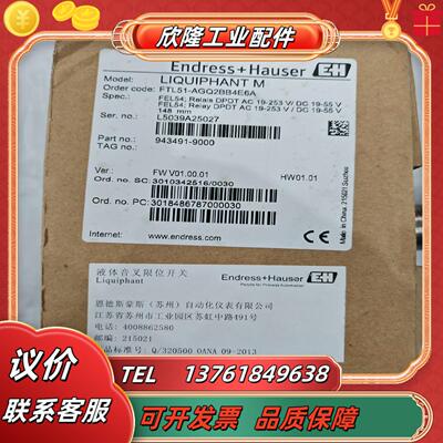 EndressHauser 音叉Order codeFT