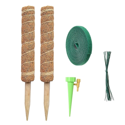 Hot 2PCS Coir Moss Pole for Monstera & Cheese Plant, Pla