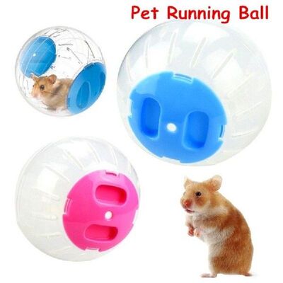 Pet Running Ball Plastic Grounder Jogging Hamster Pet Small