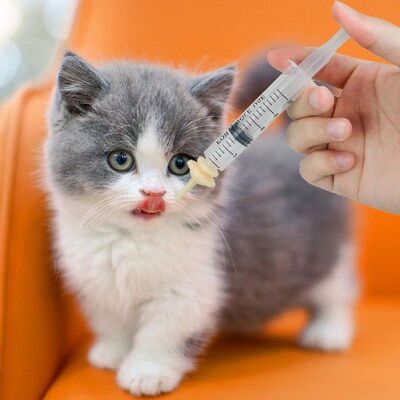 Pet Syringe Pet Feeding Syringe Medicine Dropper SyringePet