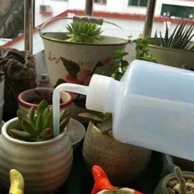 250mL Water Beak Pouring Kettle Tool Succulents Plant