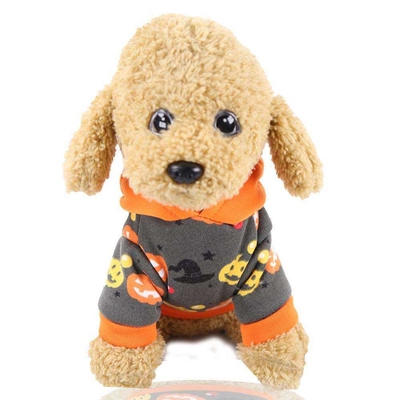 Halloween pumpkin turns into a pack wacky cat pet clothing