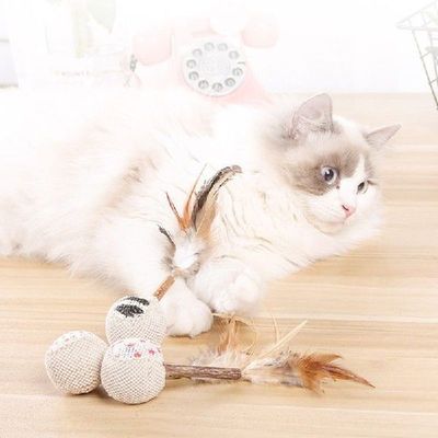 Cat Catnip Toy Feather Cat Wand Toy Silvervine Teeth