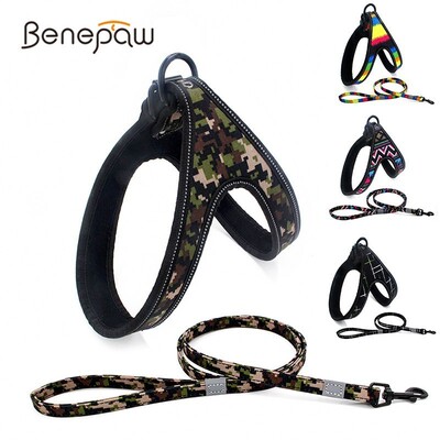 Benepaw Fashion Reflective Pet Harness Leash Set For Small