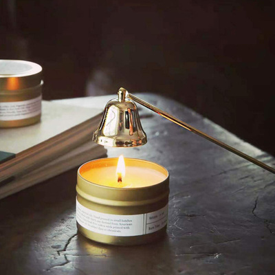 21cm Stainless Steel Wick Snuffer Household Safely Candle