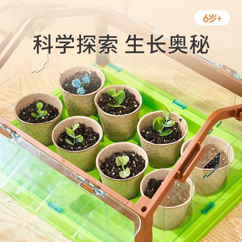 科学小实验套装手工diy材料儿童益智玩具阳光房种植花房种菜观察