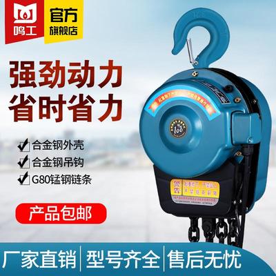 工吨环链找电动葫芦12吨3吨5吨10吨厂 起重链条吊葫芦RMN 电动倒