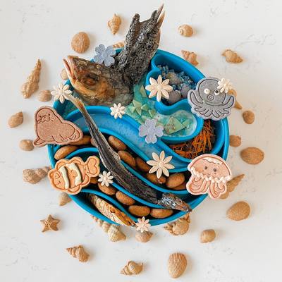 Sodapup中大型犬慢食碗防噎丰容