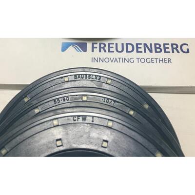 德国Simrit/FREUDENBERG科德宝油封CZCFW1BAU3SLX255-90-10/7