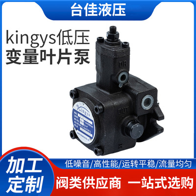kingys低压中压变量叶片泵