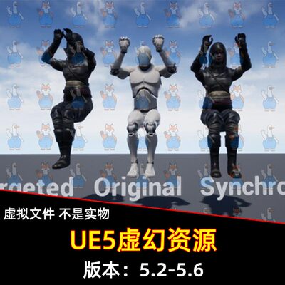 UE5虚幻5动画同步器插件 - Animation Synchronizer