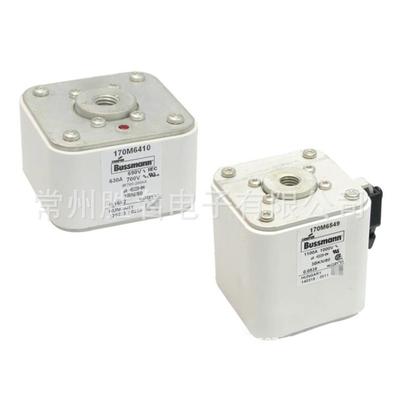 170M6410170M6414170M6416170M6417170M6418170M6419熔断器