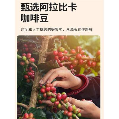 意式咖啡冲粉滤泡IGE式挂耳咖手啡意拼式配黑咖啡粉拿铁咖啡现磨