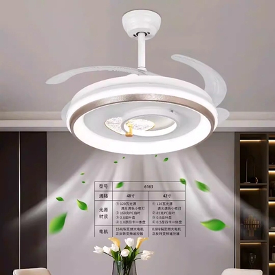 风扇灯2026新款家用客厅餐厅吊扇