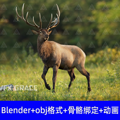blender写实雄性麋鹿含毛发带骨骼绑定动画3D动物模型vfxgrace