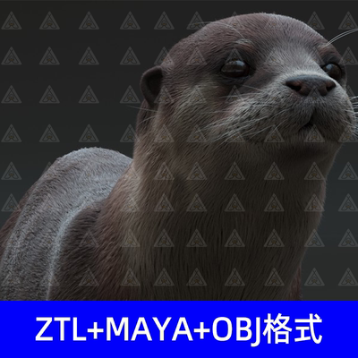 MAYA写实高精度神鹿水獭3ds max动物3D模型zbrush毛发渲染逼真OBJ