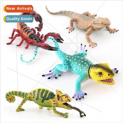 Wild amphibian reptile chameleon lizard lizard scorpion pine