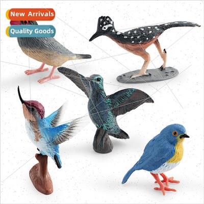 Wild Flying Bird Animal Model Walking Cuckoo Hummingbird ttl