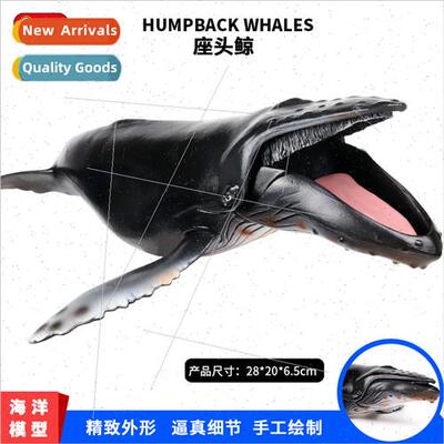 Children life undersea animal model toys large humpback whal