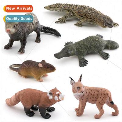 Short-tailed bobcat small panda mouse platypus ferret spiny-