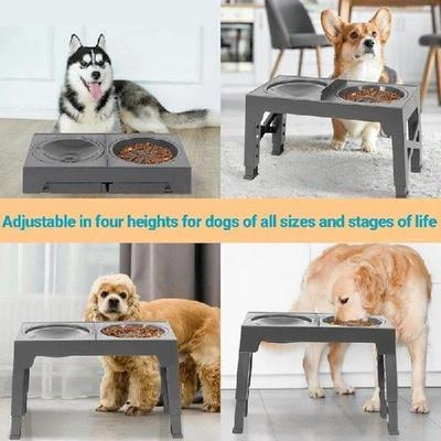 Raised Dog Bowl With Slow Feeder Dog Bowl, And No Spill Dog