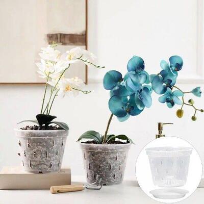 Flower Pots Flowerpots Transparent Orchid Pots with Side