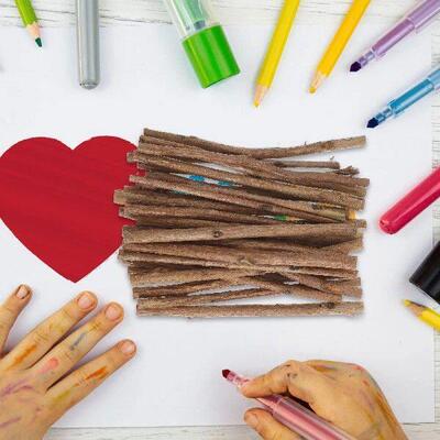 100pcs Sticks Natural Wood 0 3 0 5cm Diameter 10cm Length