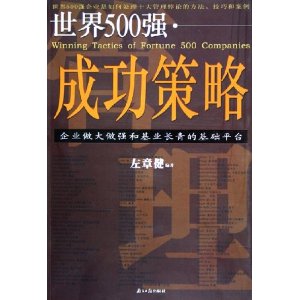 世界500强成功策略(企业做大做强和基业长青的基础平台) 500强案例 企业战略 商业策略 管理方法 成功之道 基业长青 9787806523919