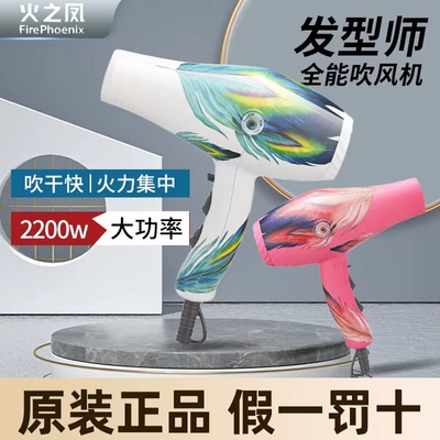 火之凤吹风机8960负离子护发大功