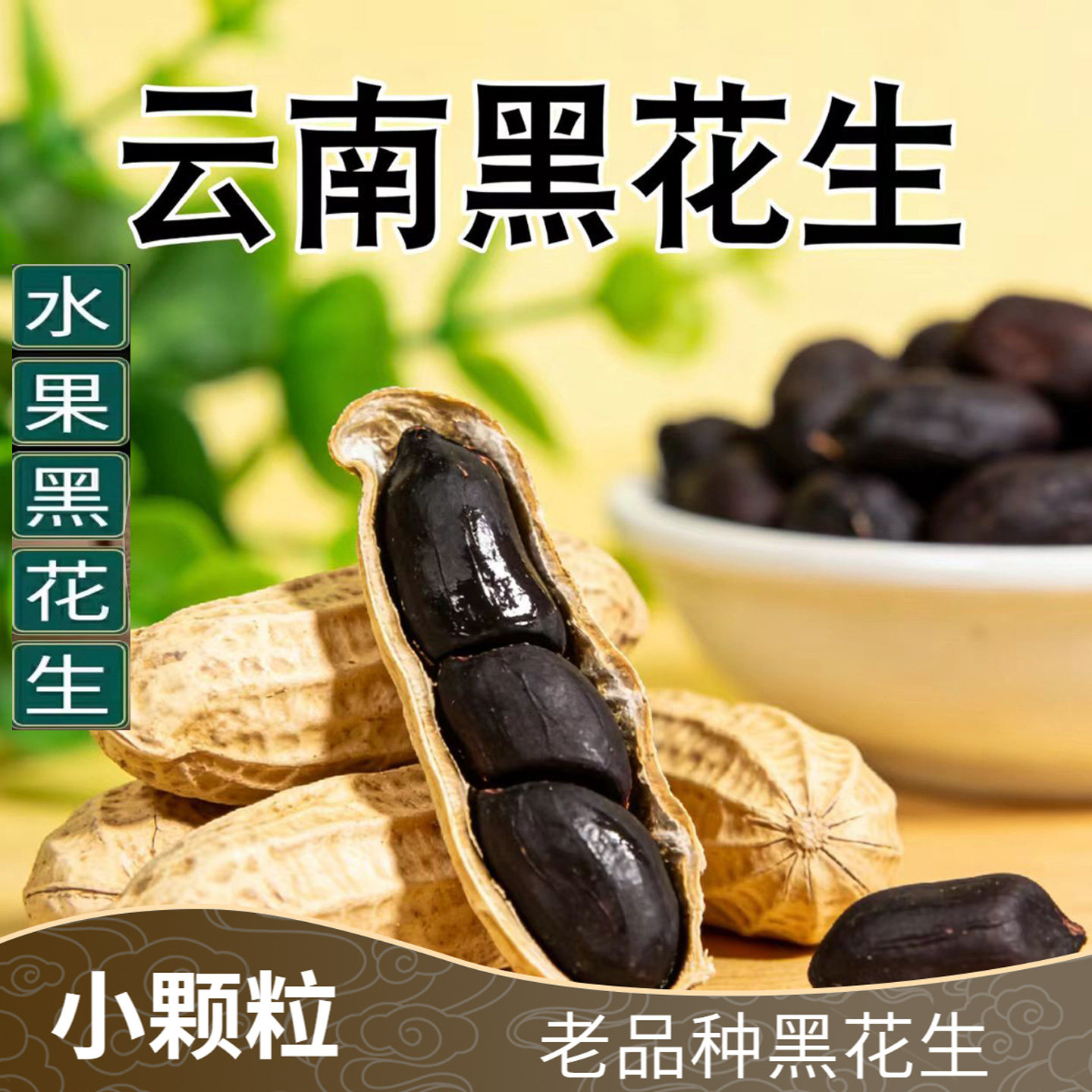 云南产地新货带壳小粒老品种黑花生种子生花生原味富硒黑花生直发