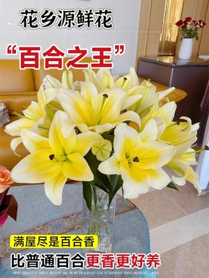 A级黄天霸单瓣香水百合浓香云南鲜花基地直发鲜花水养鲜切花顺丰