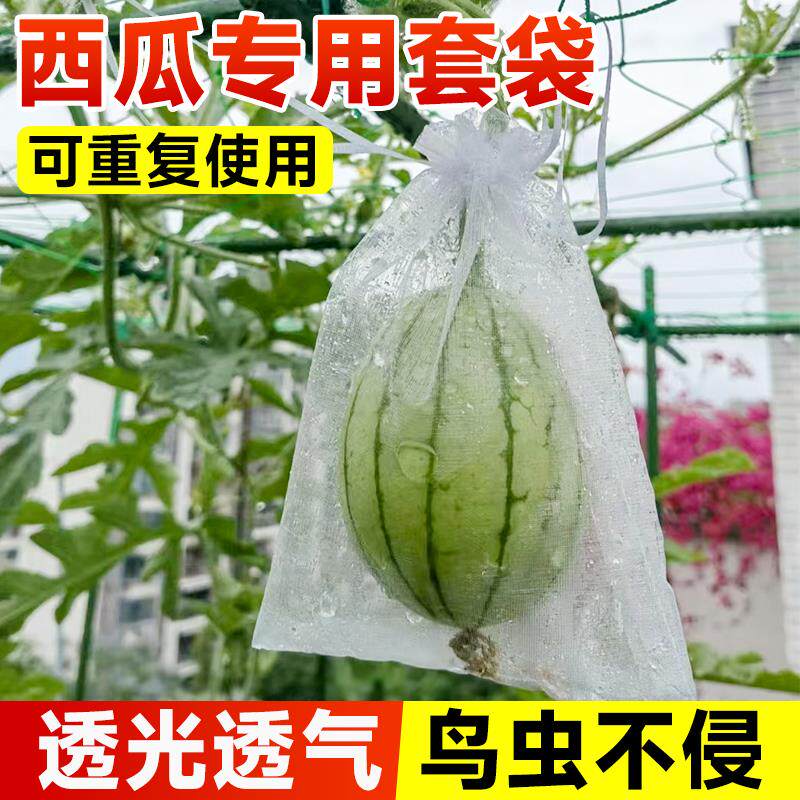 西瓜套袋防鸟防虫专用袋透气透光冬瓜水果瓜果套袋果袋防果蝇神器