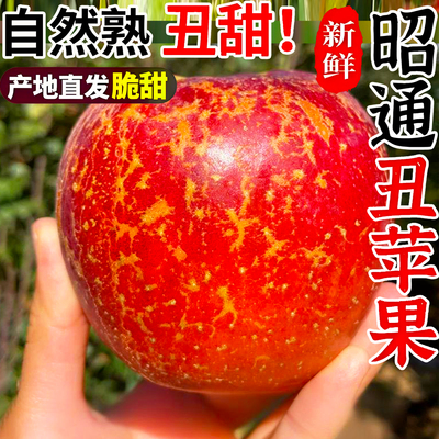 昭通丑苹果8颗特价，日限一单