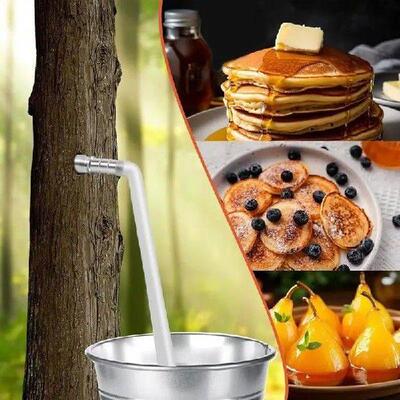 Maple Syrup Tapping Set Sturdy Maple Sap Dropper Tap Set