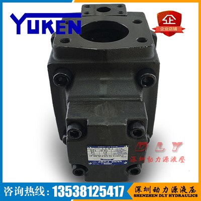 S-PV2R13-8/6/10/12-66/76/125-F/L-RLBA/RLBB/RLBR/RLBVL-40/432