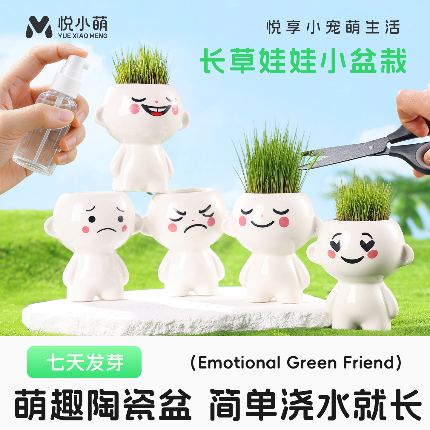悦小萌草头娃娃头上长草小盆栽儿童种植办公室内植物情绪稳定绿植